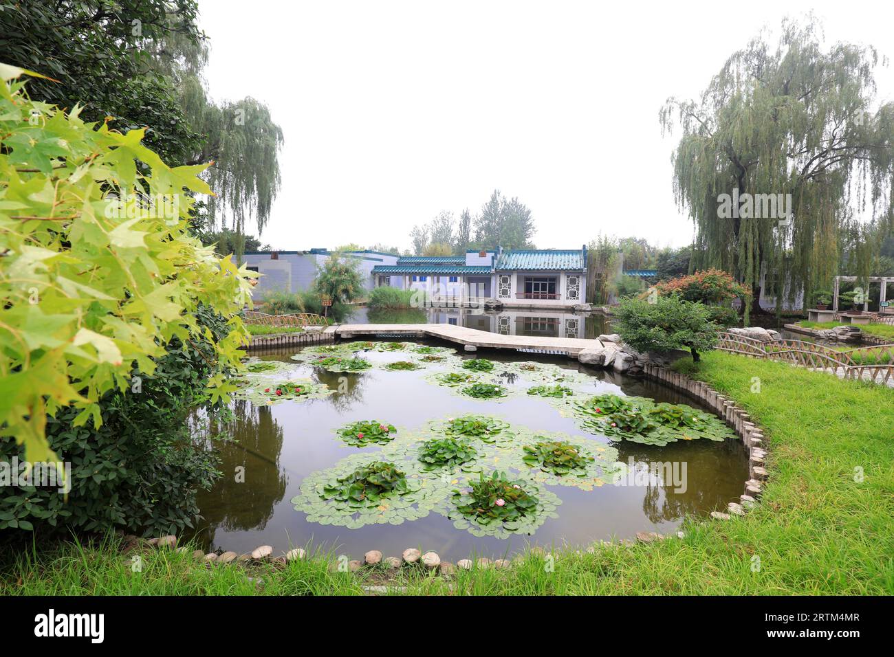 Pond scenery of Beijing Botanical Garden Stock Photo - Alamy
