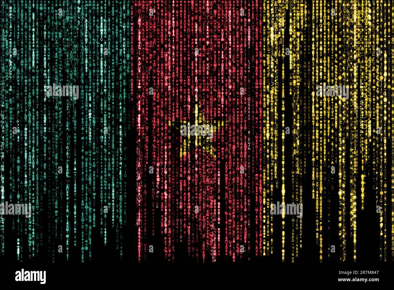 Flag of Cameroon on a computer binary codes falling from the top and ...