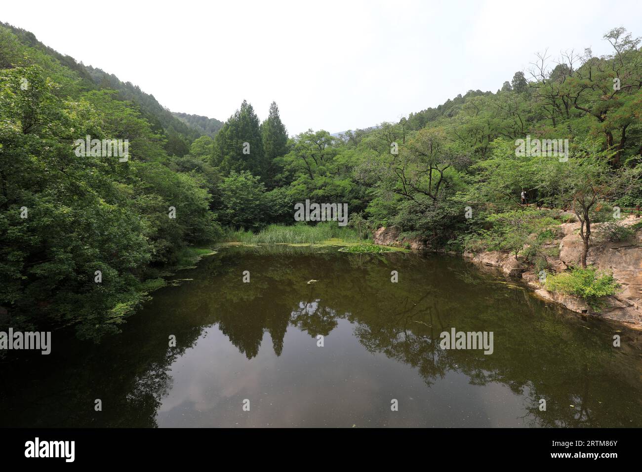 Small reservoir scenery in Beijing Botanical Garden Stock Photo - Alamy
