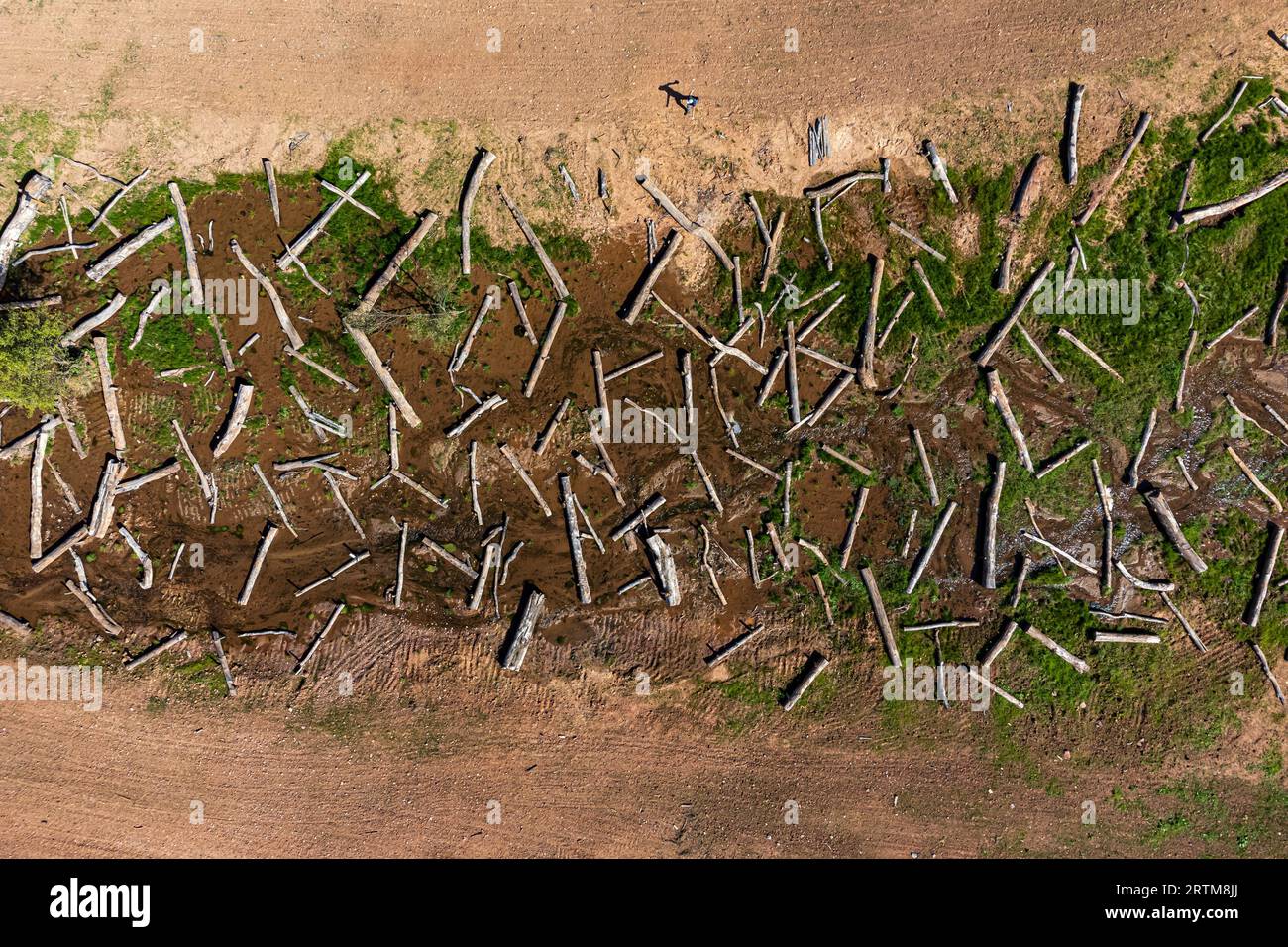 A birds-eye view of hundreds of logs placed on the newly formed flood ...