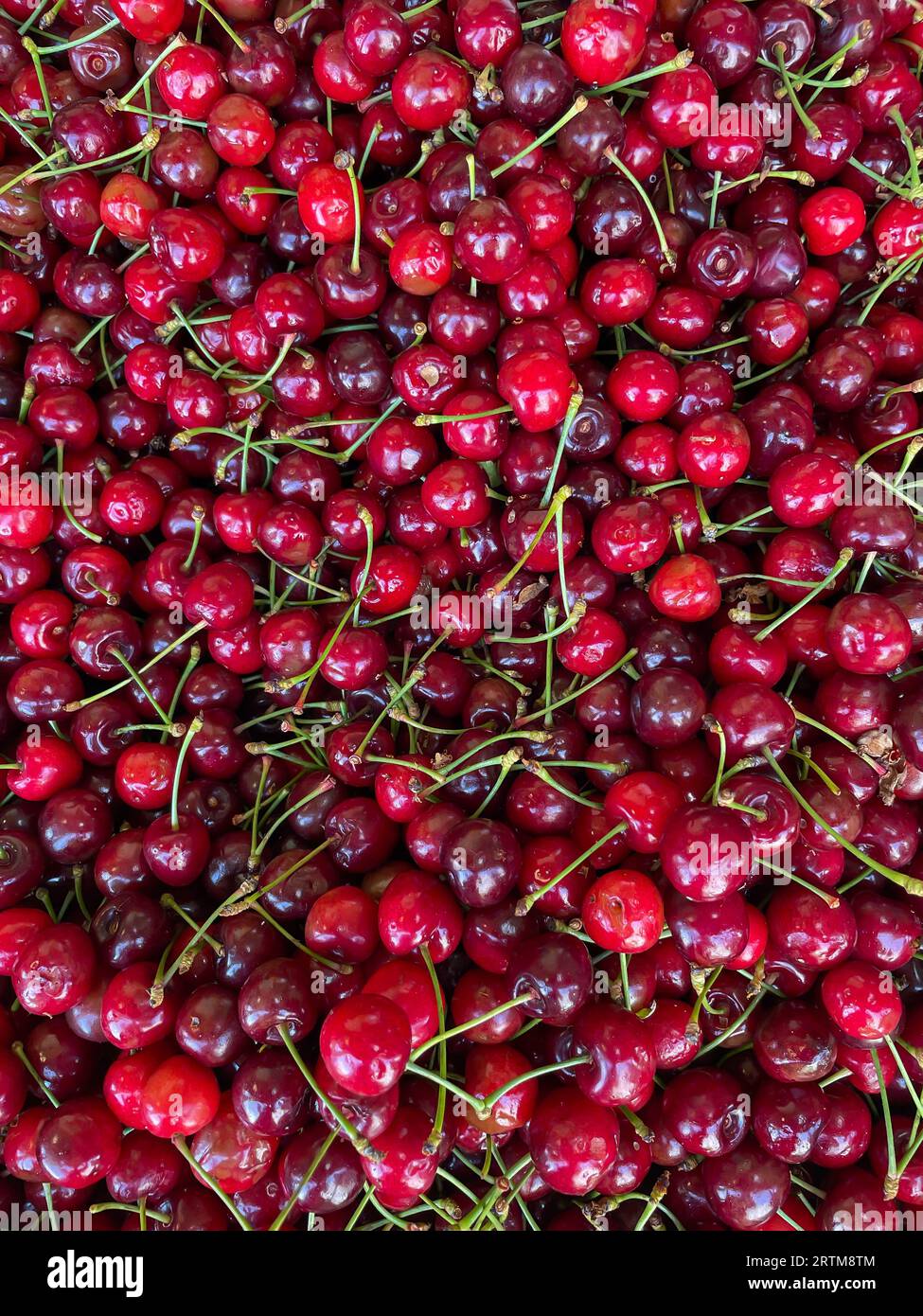 lots of red ripe cherries vitamins delicious food healthy food as ...