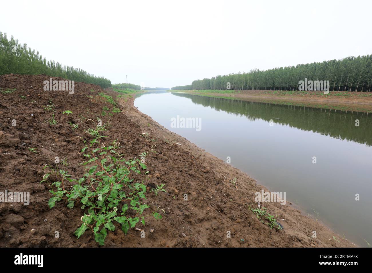 Canal natural hi-res stock photography and images - Alamy