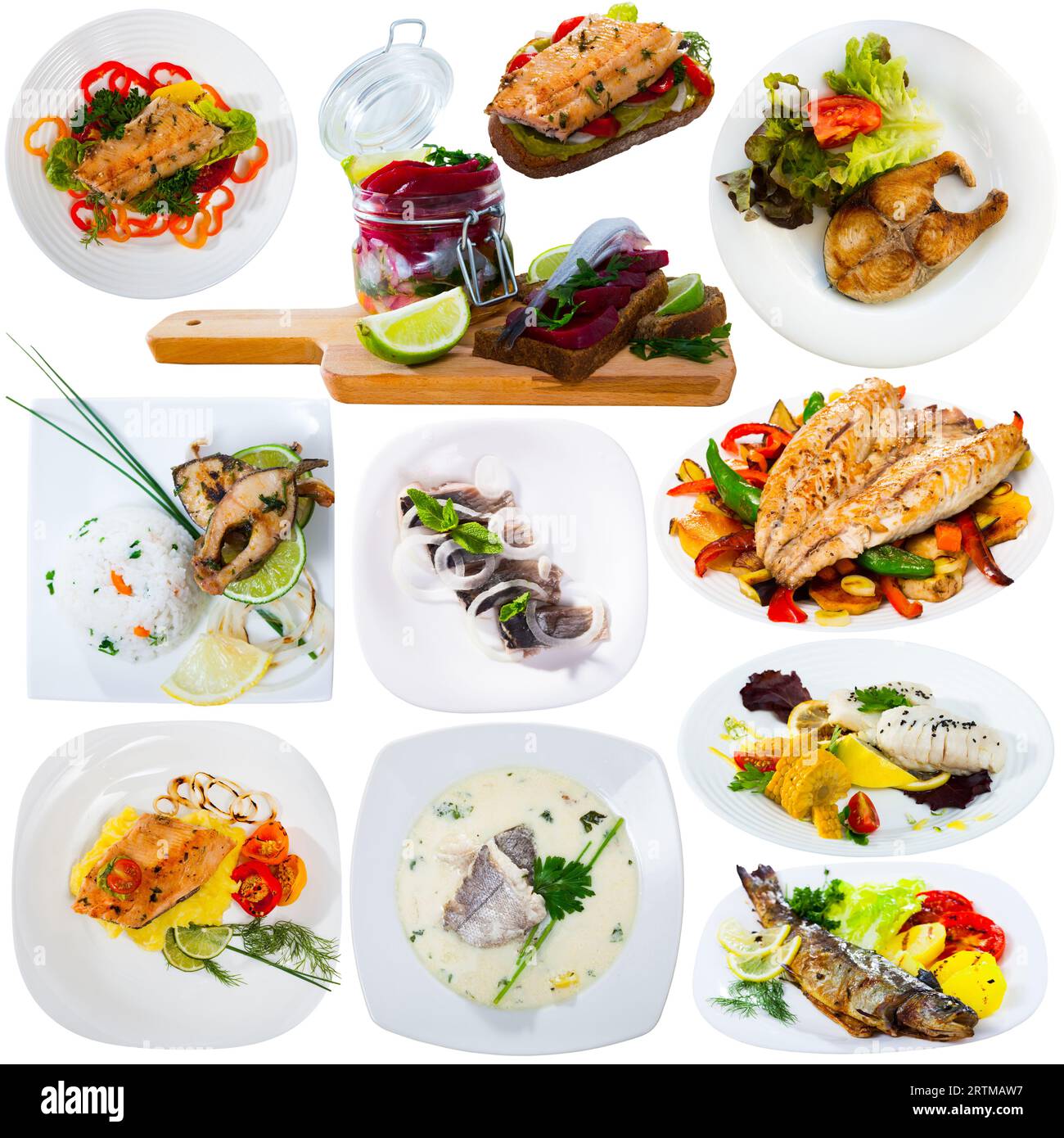 Different dishes with fish served at plates isolated on white ...