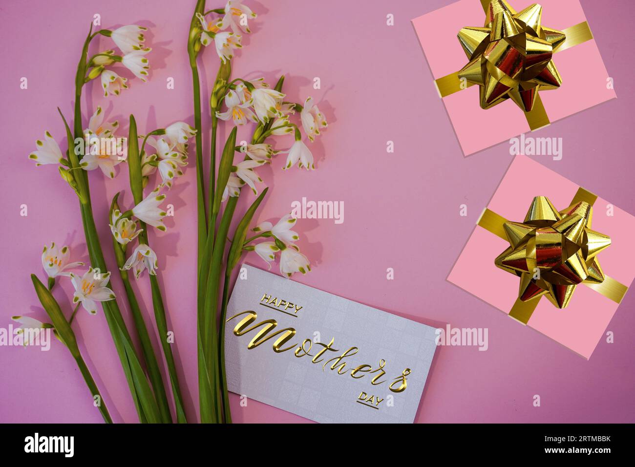 Card, banner, congratulations on Mothers Day , snowdrop flowers Stock ...