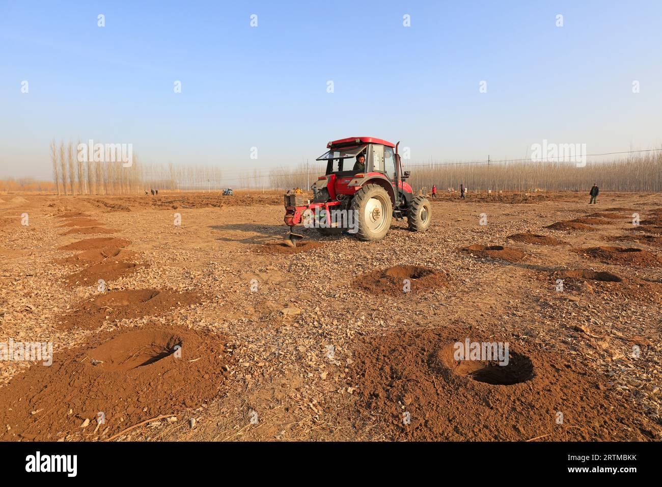 Luannan County - March 21, 2018: planting tree planting machine is ...