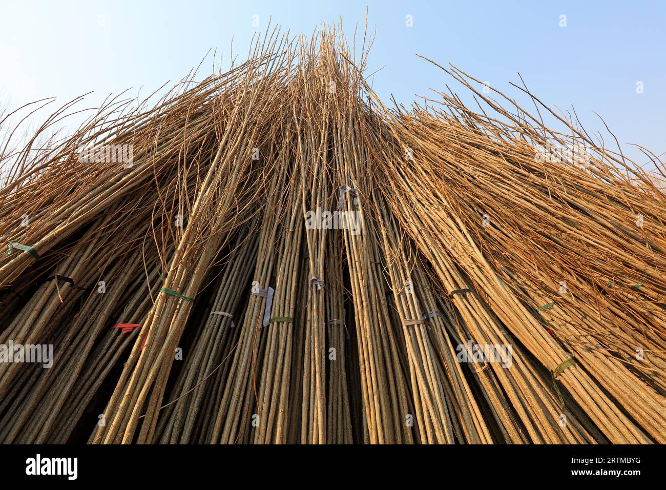 Curing environment hi-res stock photography and images - Alamy