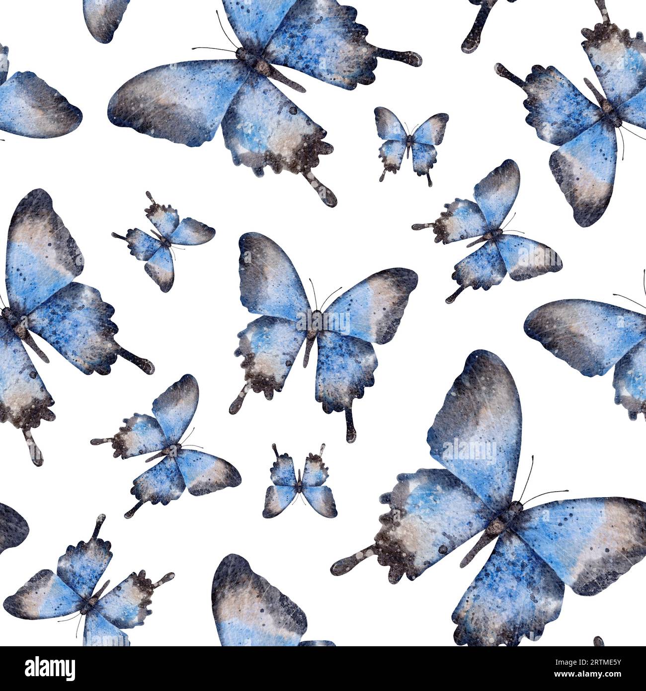 Seamless pattern with moth or blue butterfly. Hand draw watercolor ...