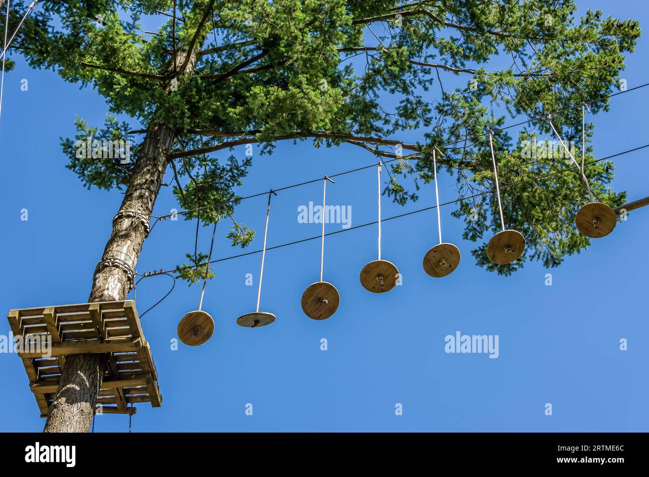 Platform and other equipment suspended in the air on trees in the ...