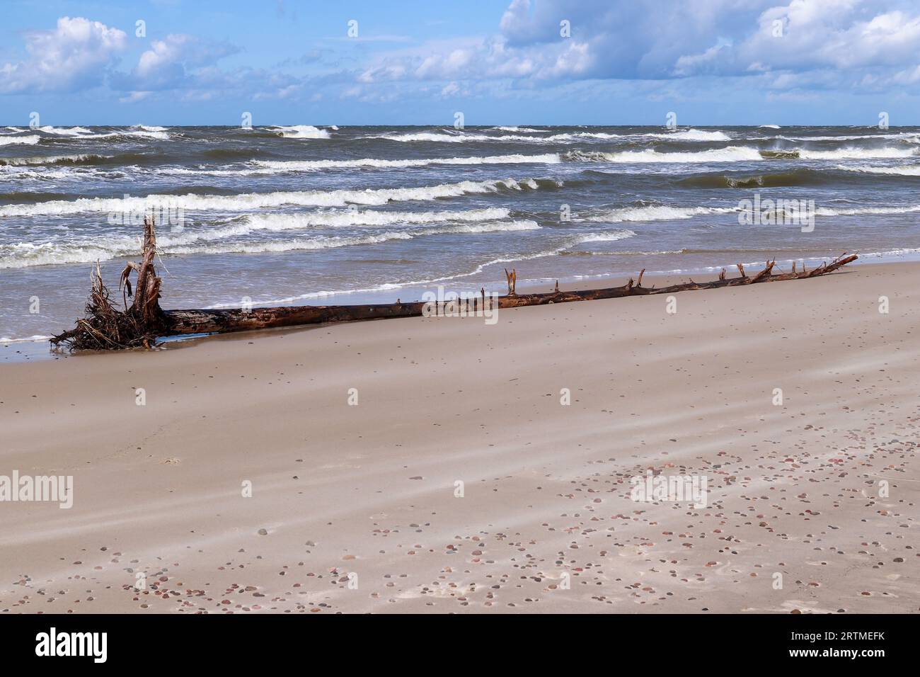 Baltic Sea coast and wild beach next to moving dunes in the Slovincian ...