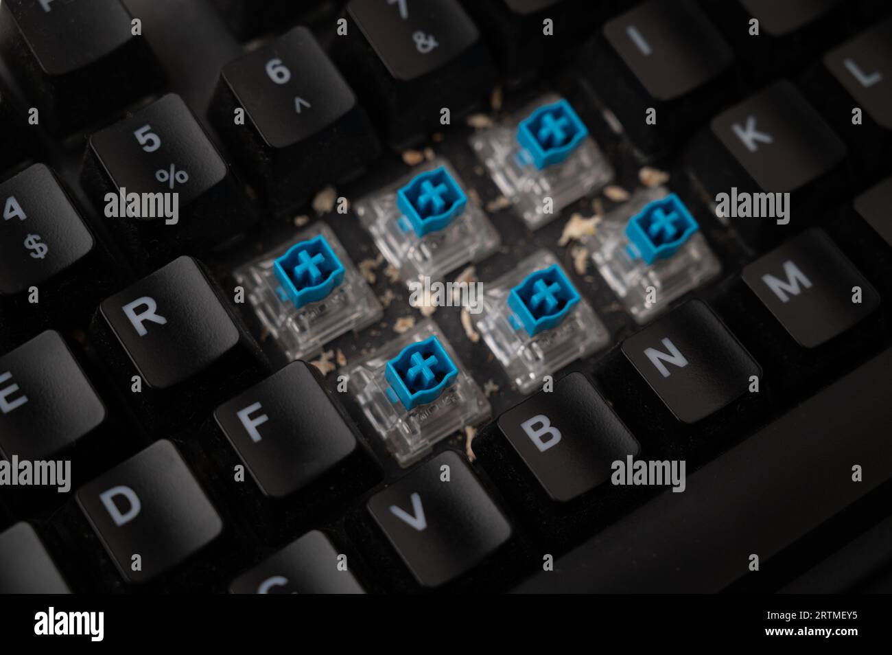 Close-up of a dirty mechanical keyboard with blue switches, with some ...
