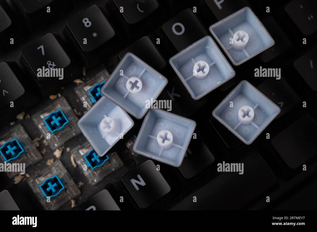 Close-up of a dirty mechanical keyboard with blue switches, with some ...