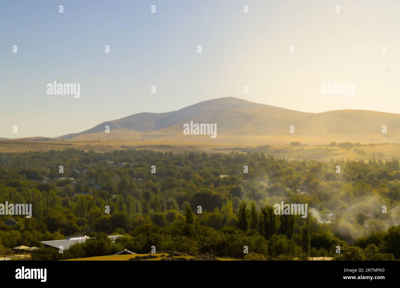 Burning forest landscape trees on hi-res stock photography and images ...