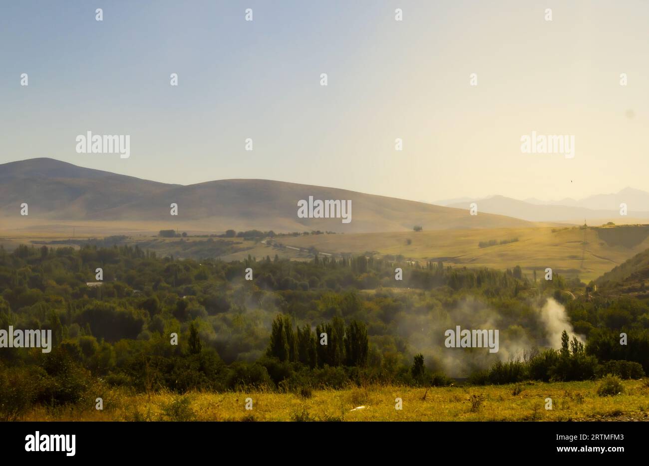 Forest fires smoke over the trees smoke on a background of trees and ...