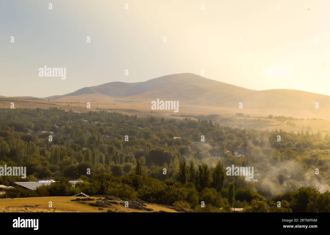 Forest fires smoke over the trees smoke on a background of trees and ...