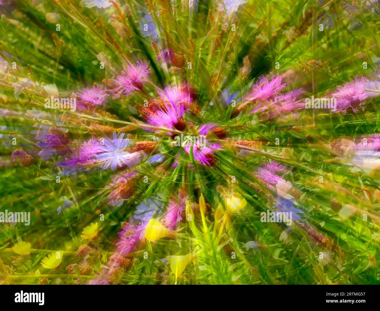 Soft focus lens hi-res stock photography and images - Alamy