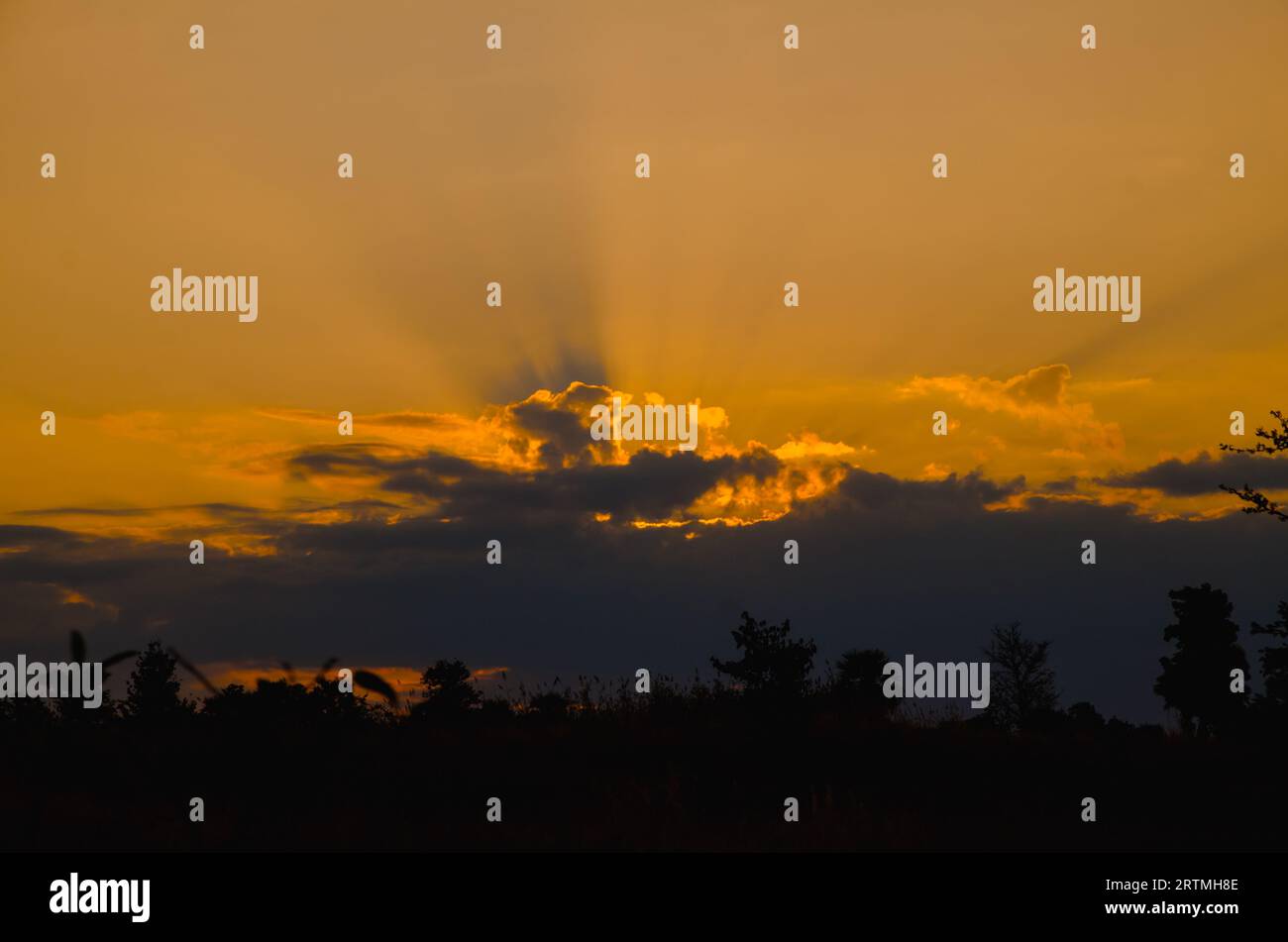 blue; cloud; dawn; daybreak; daylight; dawning; orange; sunbeam ...