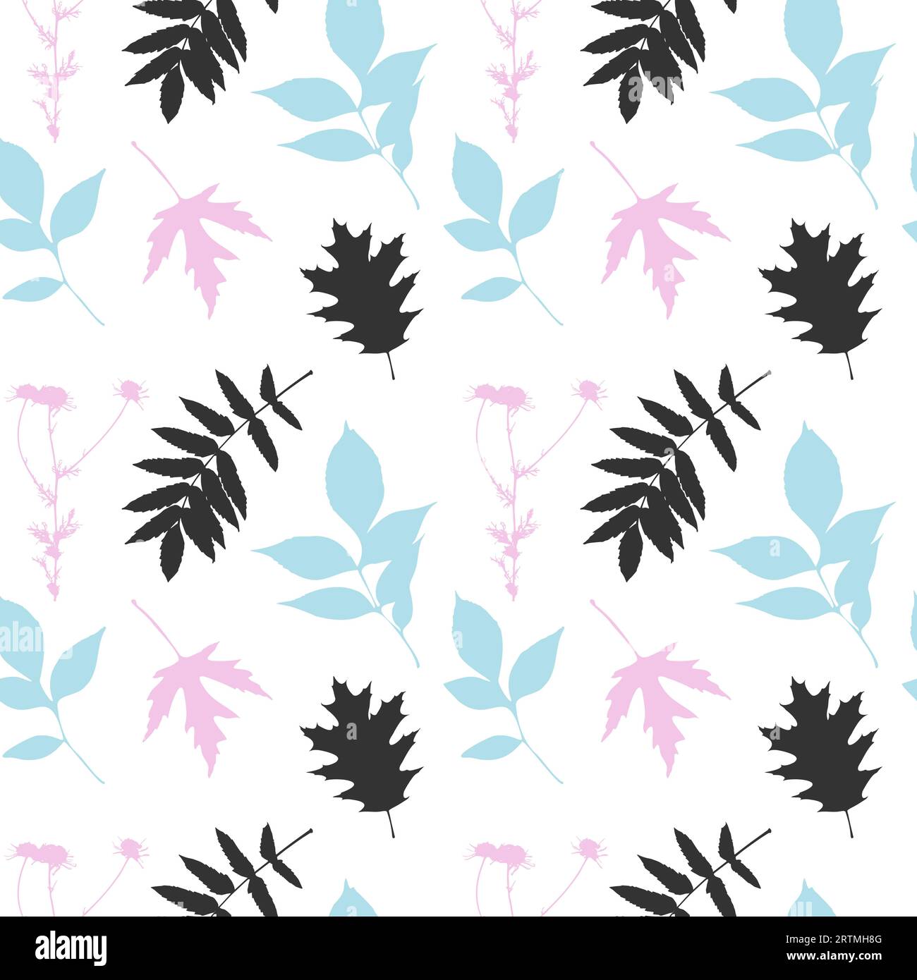 Leaf pattern pink blue black colors, stamp leaves, white background ...