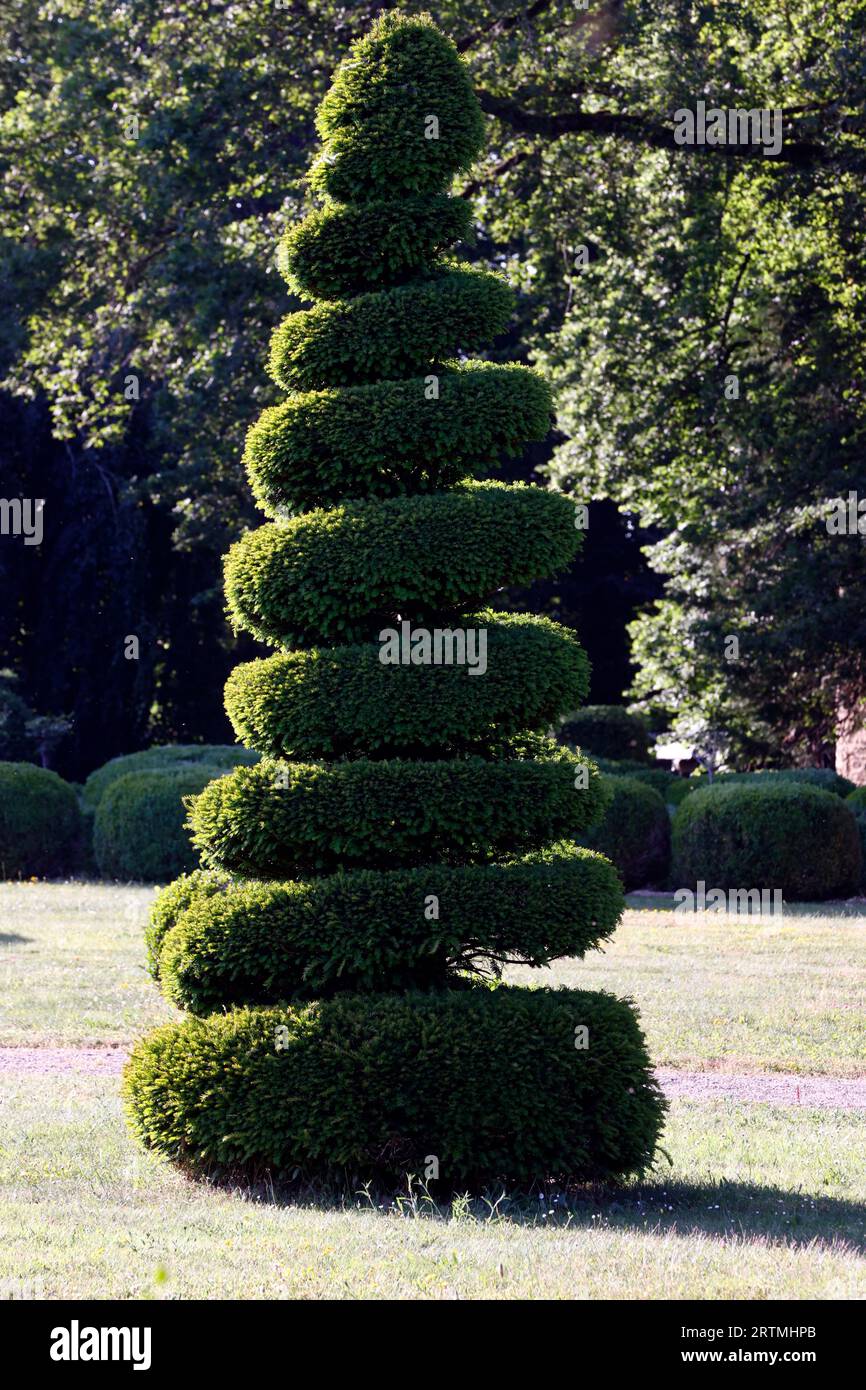 Torsade hi-res stock photography and images - Alamy