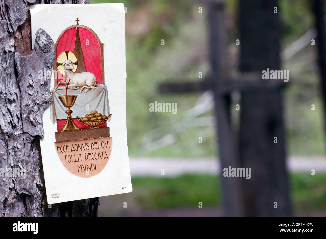 Holy eucharistic image. Lamb of God Stock Photo - Alamy