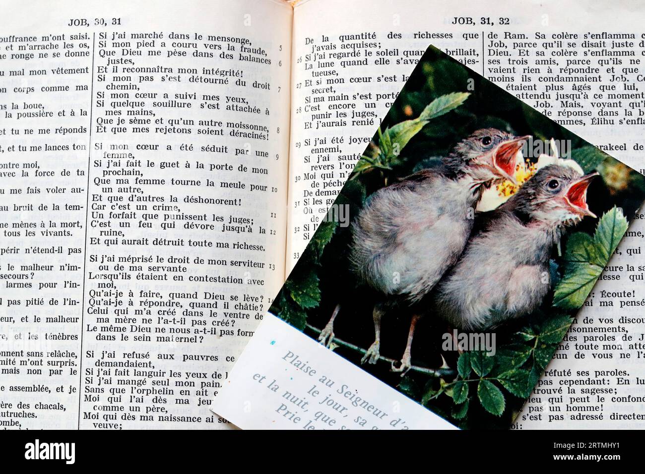 Open bible with religious image. Birds Stock Photo - Alamy