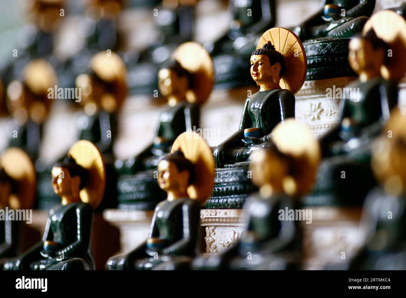 Tu An buddhist temple. Rows of jade Buddha for universal peace Stock ...