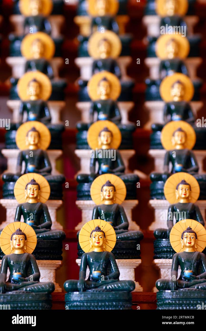 Tu An buddhist temple. Rows of jade Buddha for universal peace Stock ...