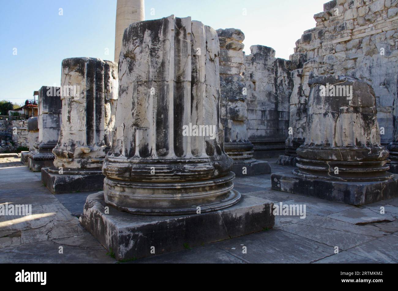 Ancient columns amoungst The ruins of the Temple of Apollo at Ancient ...
