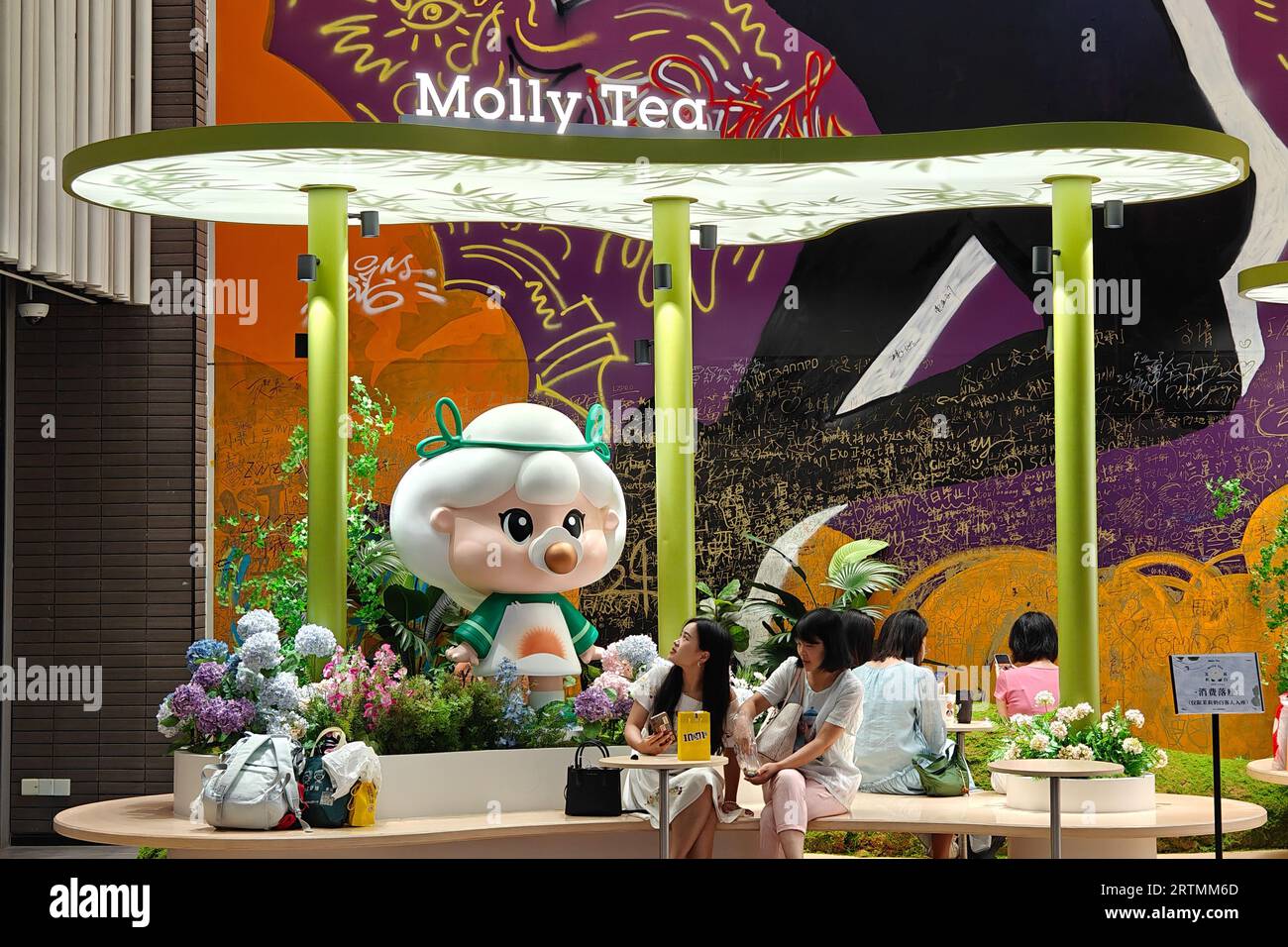 Molly tea hi-res stock photography and images - Alamy