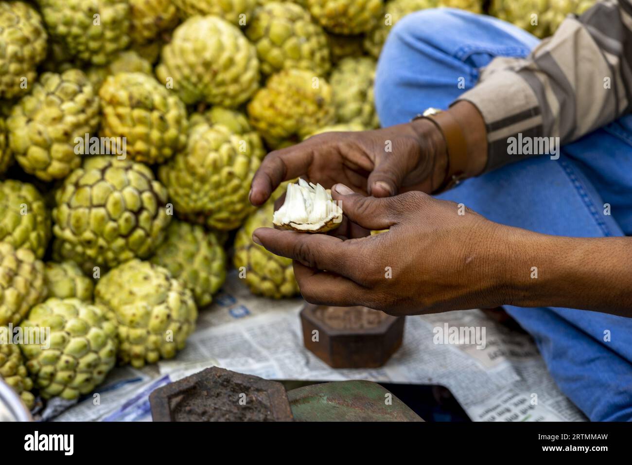 Custard apples sold in Mumbai, India Stock Photo - Alamy