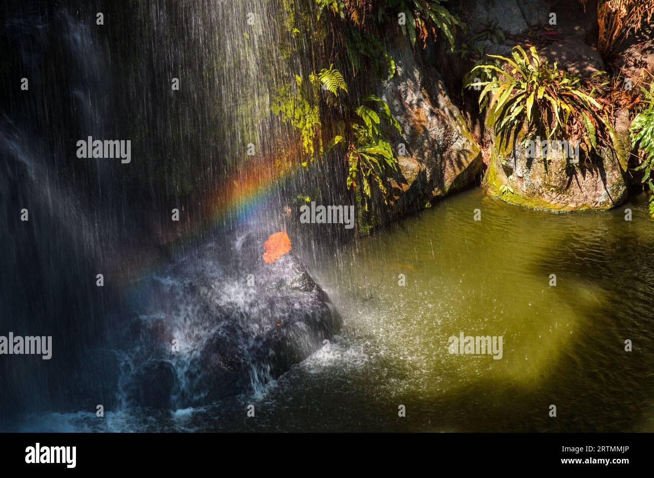 Waterfall wood hi-res stock photography and images - Alamy