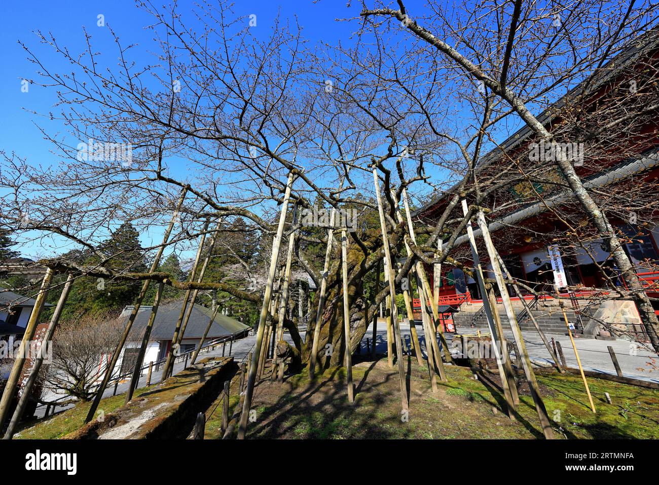 Nikkozan Rinnoji Temple (Buddhist complex with a renowned wooden hall ...