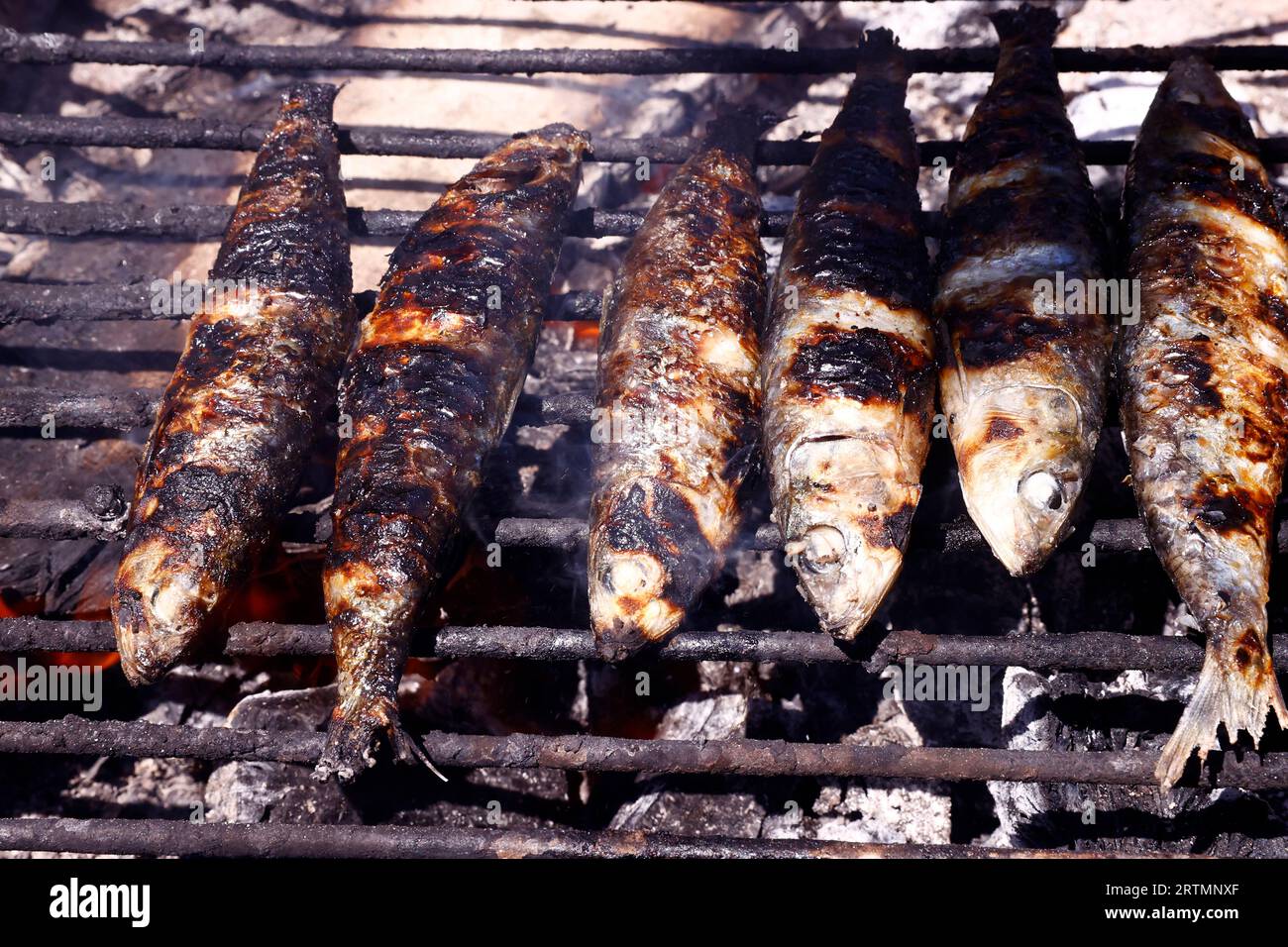 Porto sardines hi-res stock photography and images - Alamy