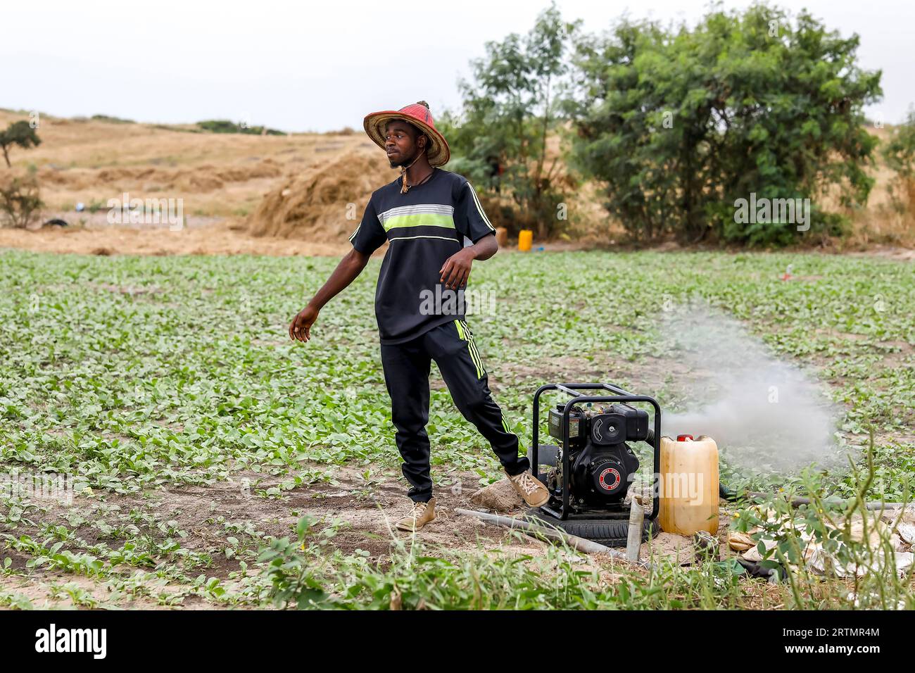Young farmer watering a field in Notto village, Senegal Stock Photo - Alamy