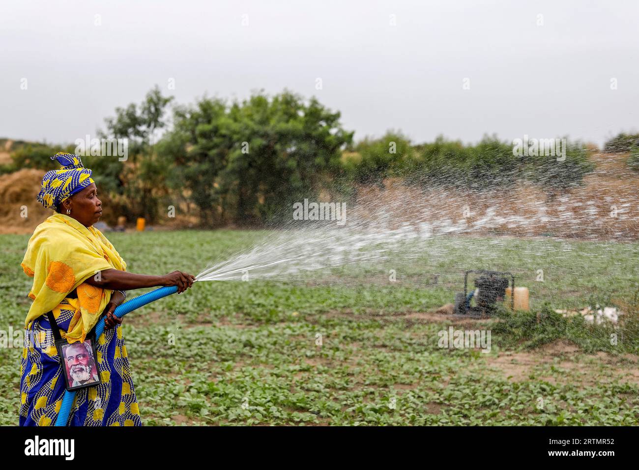 Woman watering her field in Notto village, Senegal Stock Photo - Alamy