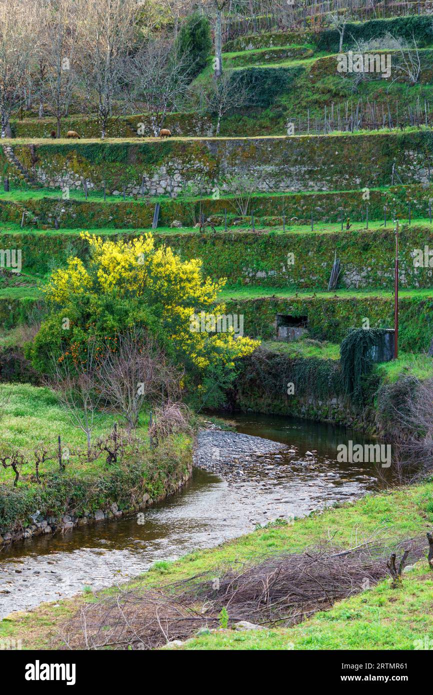 Rough terraced slope hi-res stock photography and images - Alamy