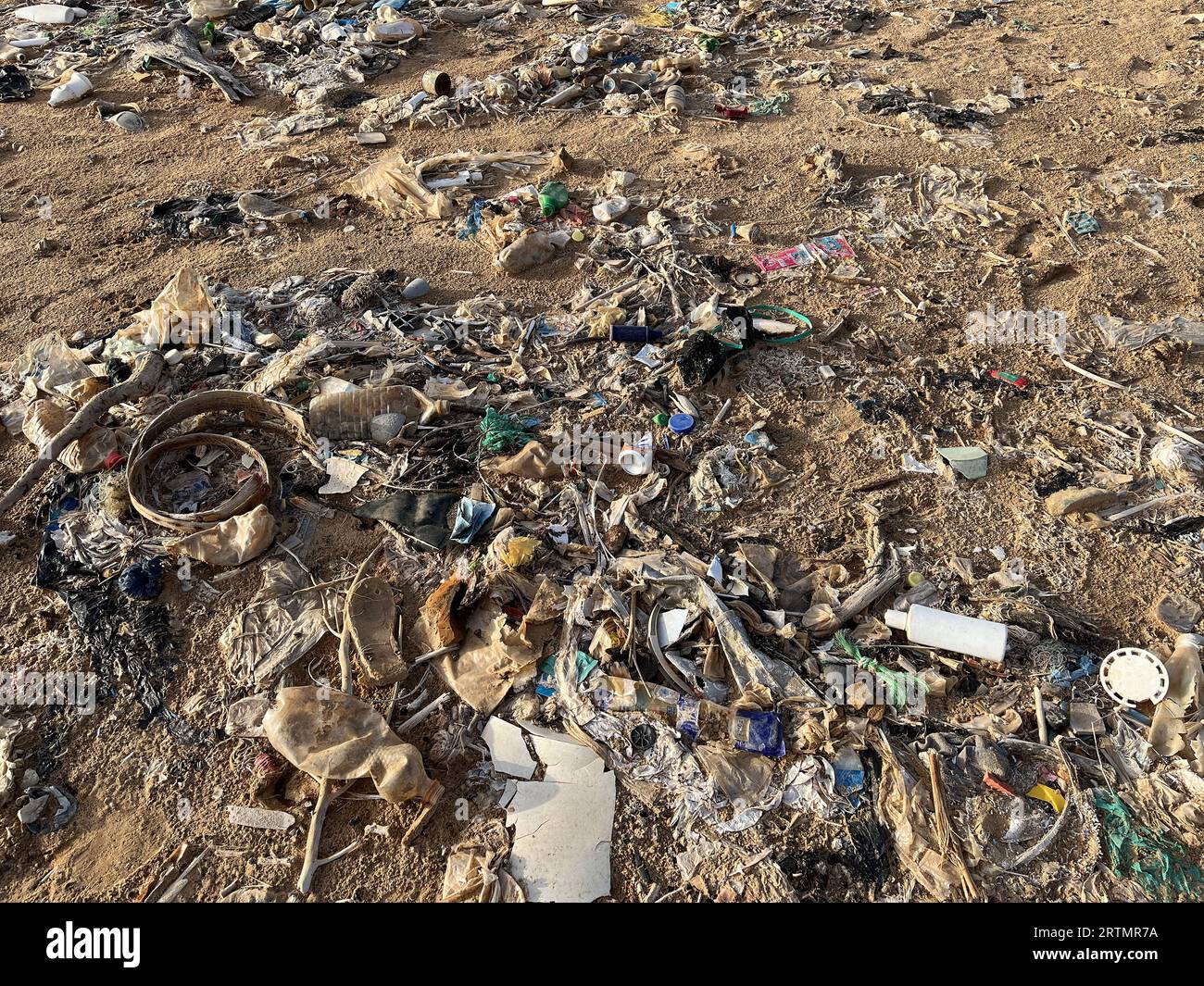 Ground detritus africa hi-res stock photography and images - Alamy