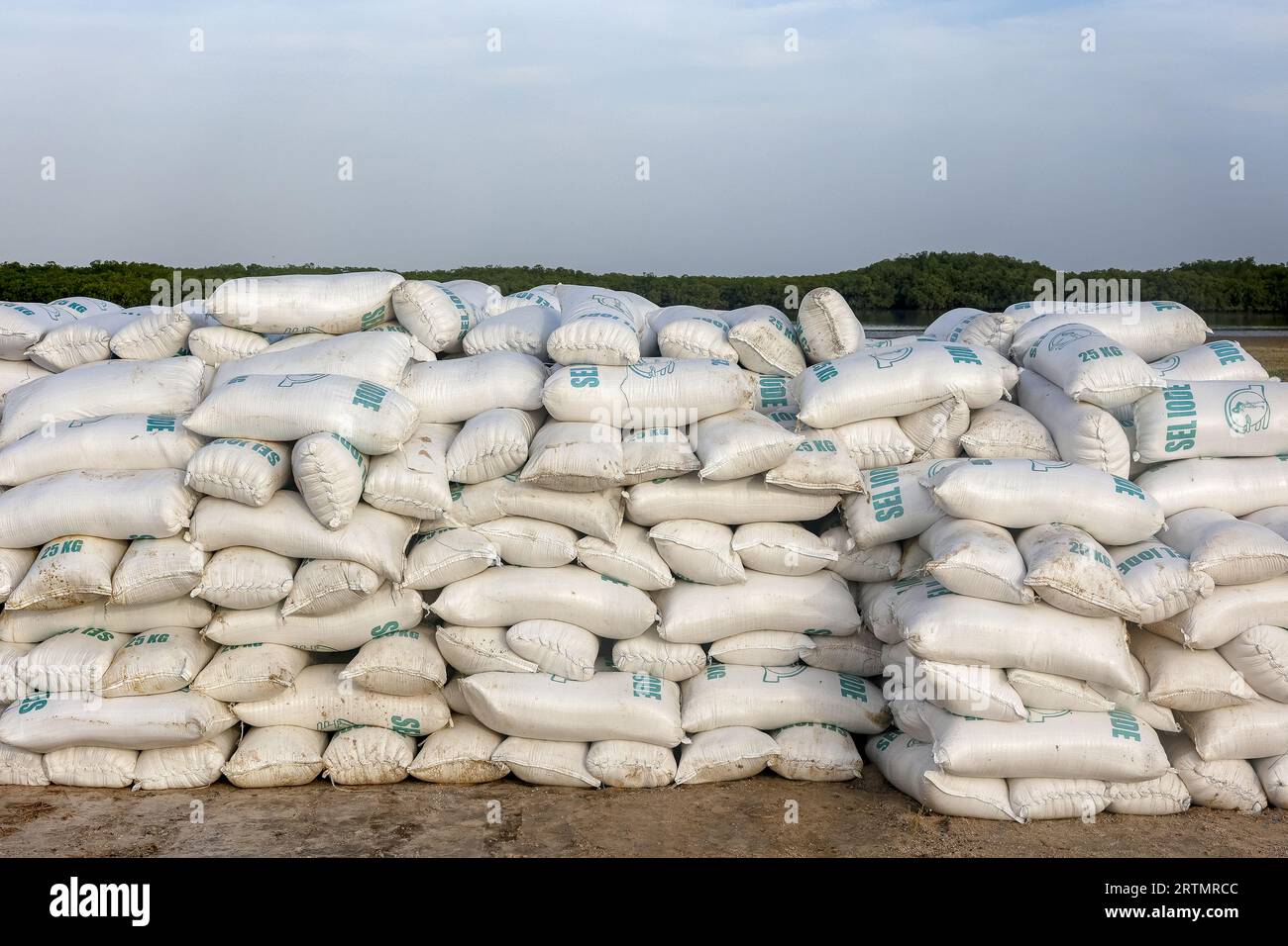 Delta saloum hi-res stock photography and images - Alamy