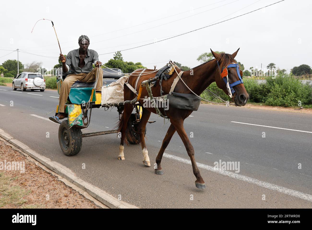 Man driving a horse-pulled cart near Fatick, Senegal Stock Photo - Alamy
