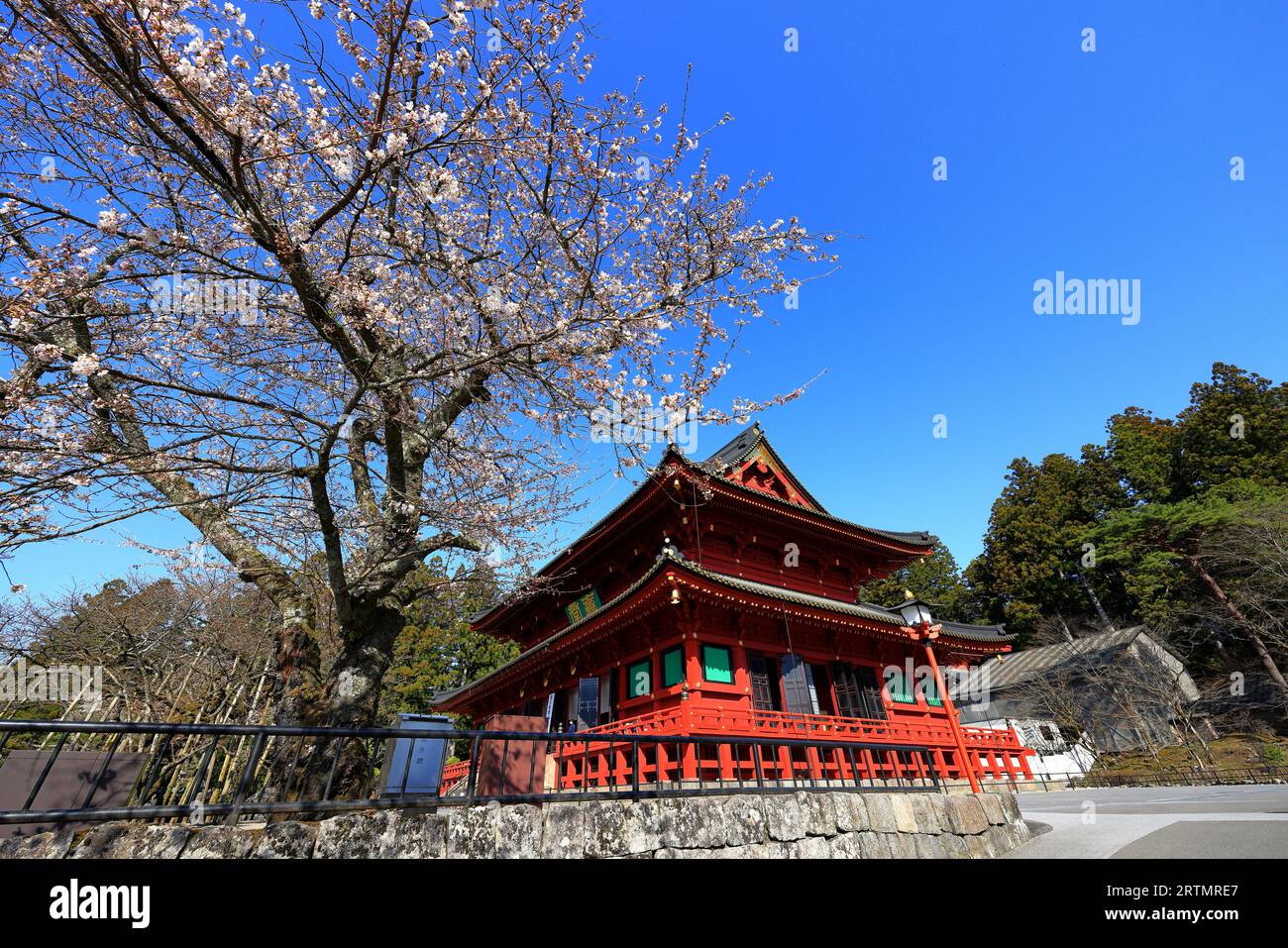 Nikkozan Rinnoji Temple (Buddhist complex with a renowned wooden hall ...
