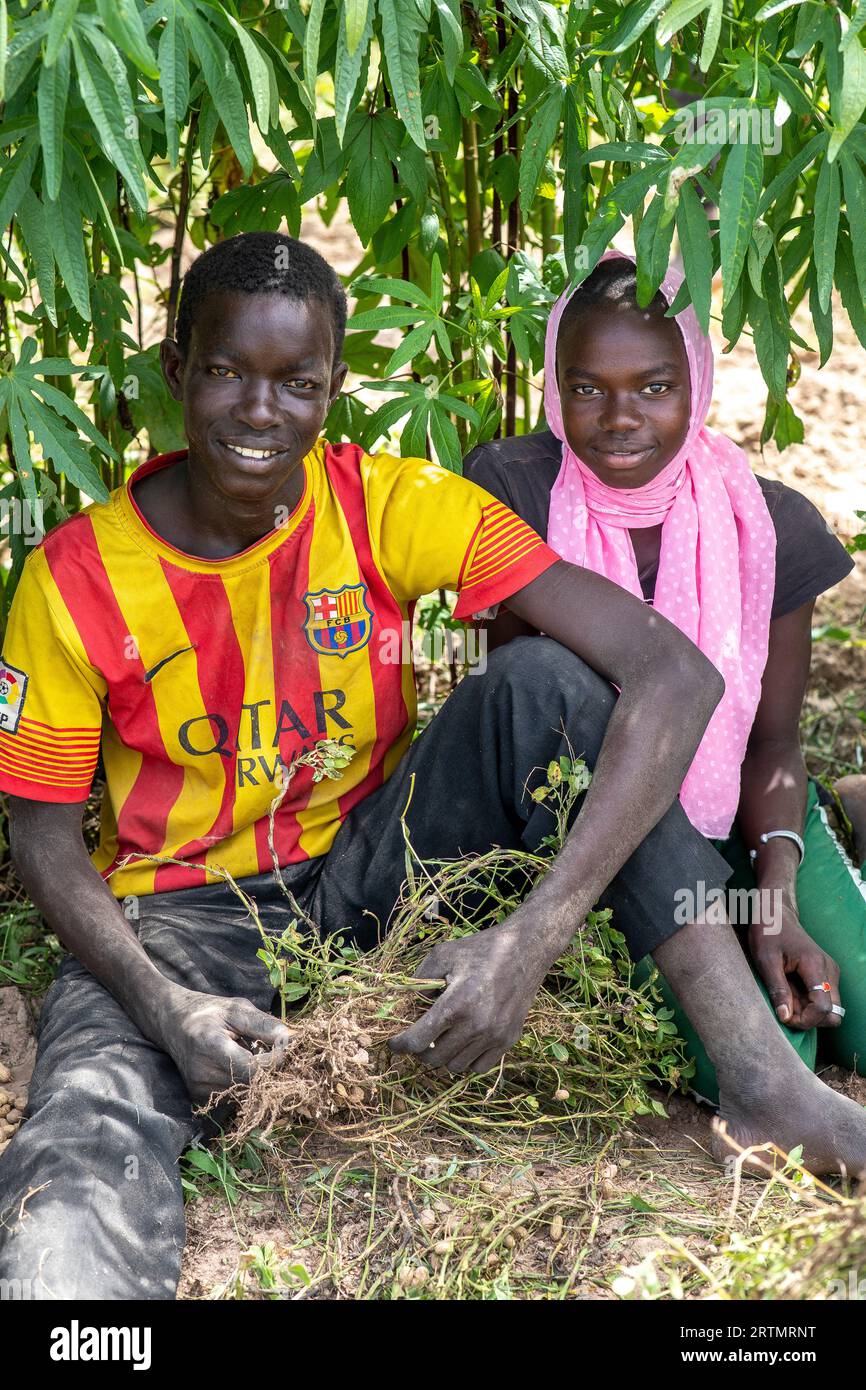 Teenagers sitting in a field of harvested peanuts in Kaffrine, Senegal ...