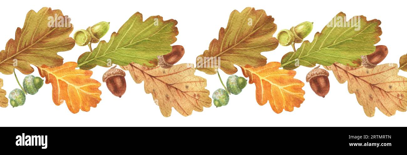 Autumn oak – acorns and leaves. Watercolor seamless border. Perfect for ...