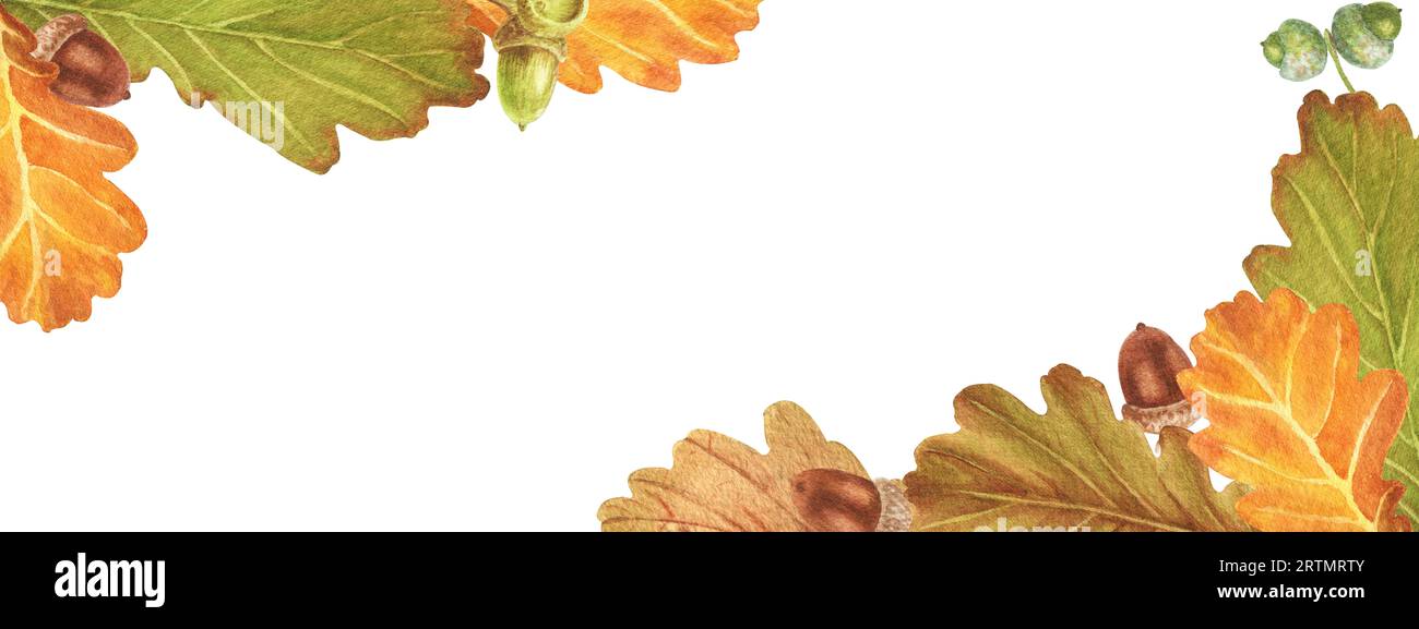 Autumn oak – acorns and leaves. Watercolor illustration. Perfect for ...