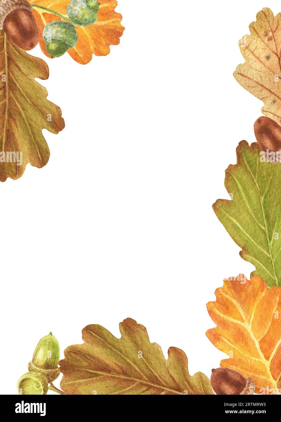Autumn oak – acorns and leaves. Watercolor illustration. Perfect for ...