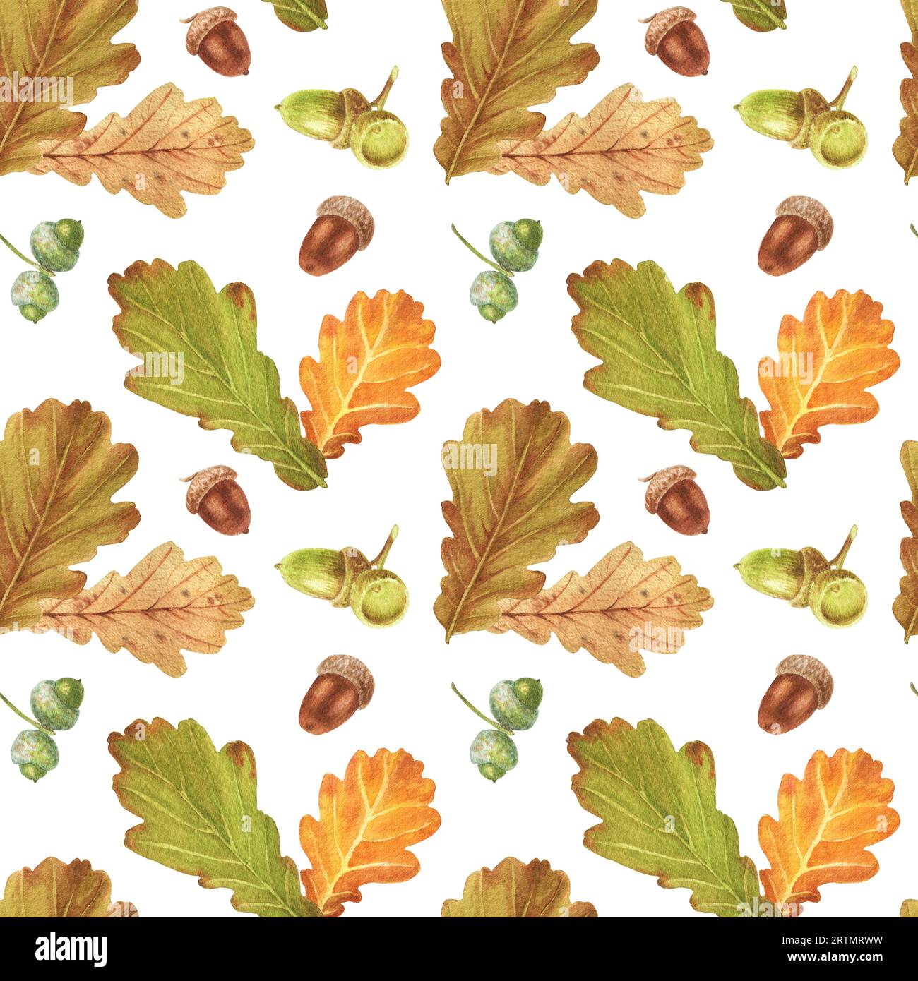 Autumn oak – acorns and leaves. Watercolor seamless pattern. Perfect ...