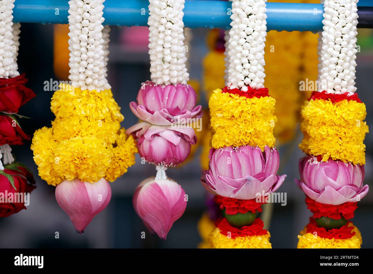 Brahmachari Clipart Flowers