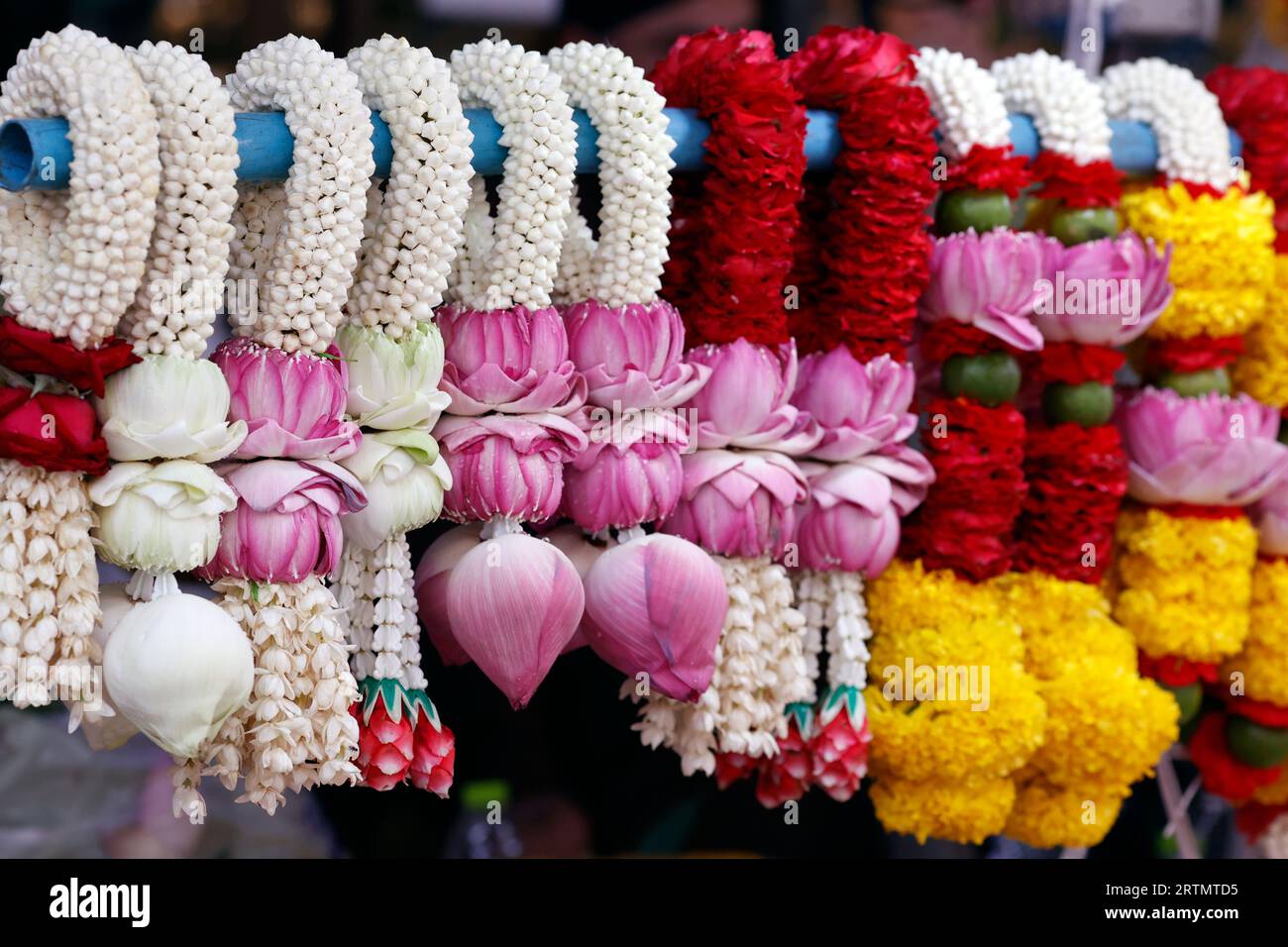 Indian flower shop at Sri Maha Mariamman Temple. Flower garlands used ...