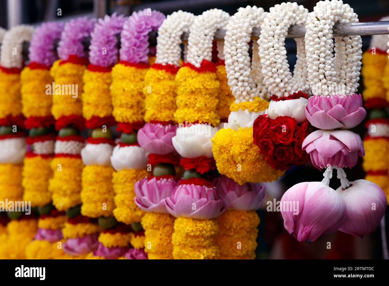 Indian shop bangkok hi-res stock photography and images - Alamy