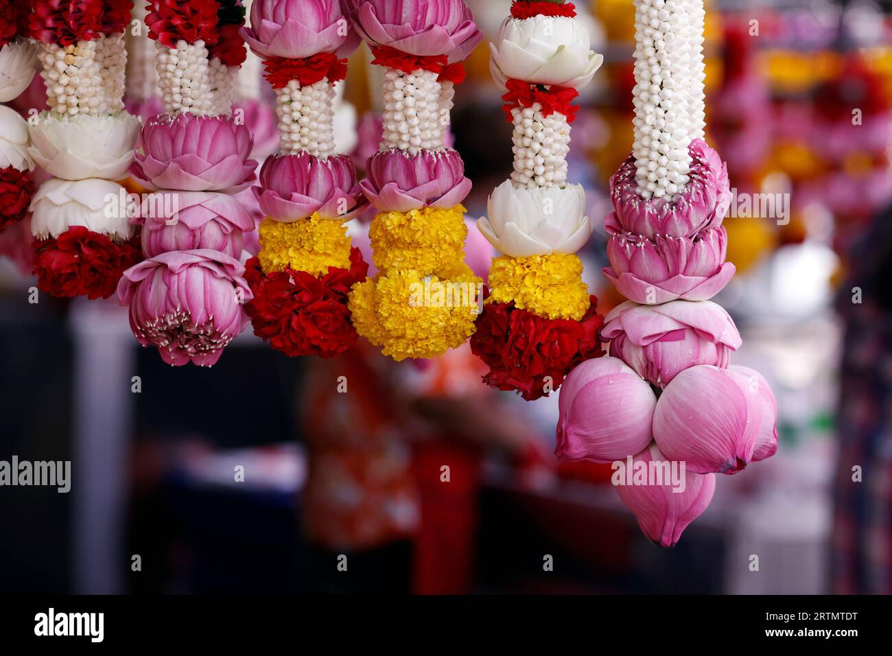 Indian flower shop at Sri Maha Mariamman Temple. Flower garlands used ...