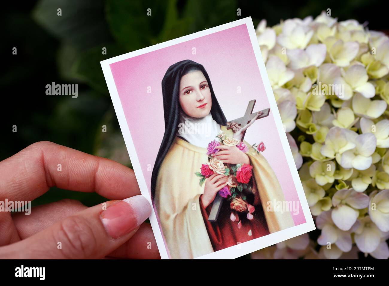 Holy image of Saint Therese of the Child Jesus and the Holy Face ...