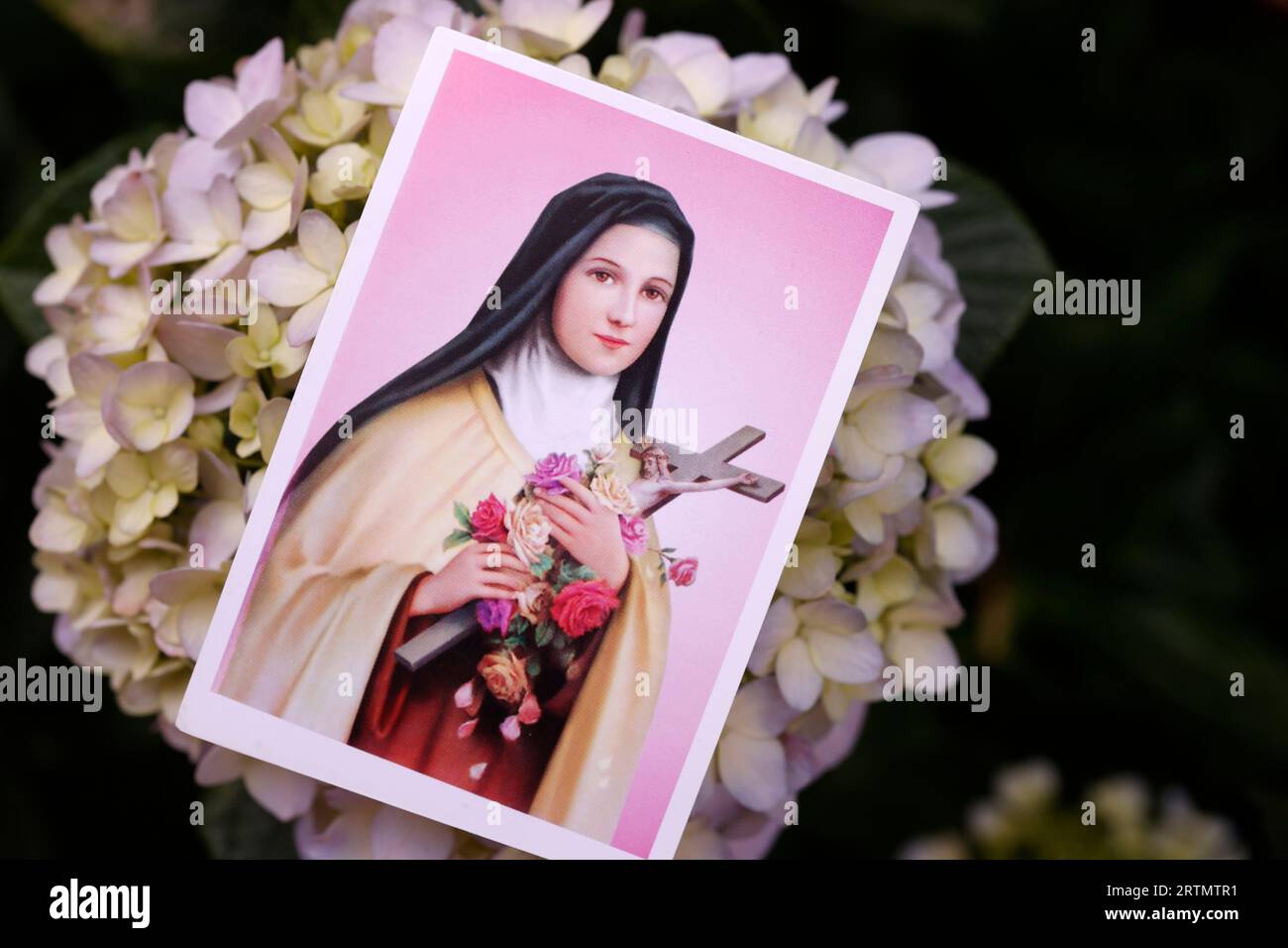 Holy image of Saint Therese of the Child Jesus and the Holy Face ...